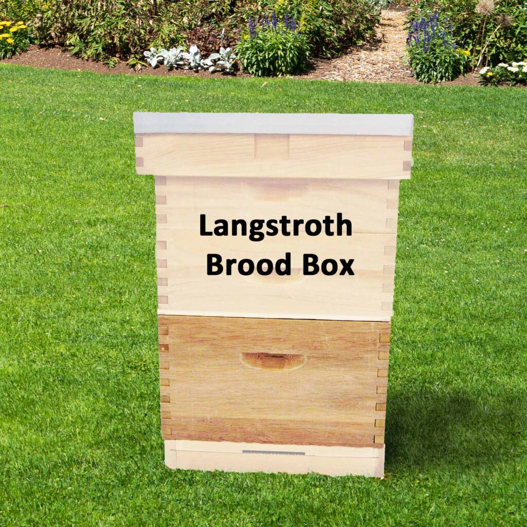 Langstroth Brood Box in Cedar 74475 - Welcome to Actiasbee